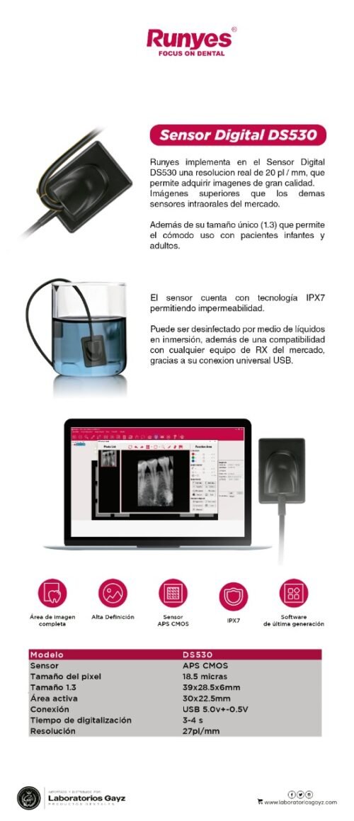 Sensor Intraoral Digital DS530 Runyes - Laboratorios Gayz